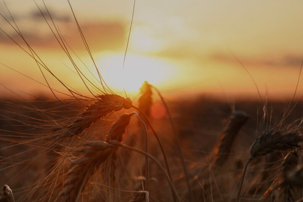 Shop Books & Merchandise Online | Dusty Boot Books